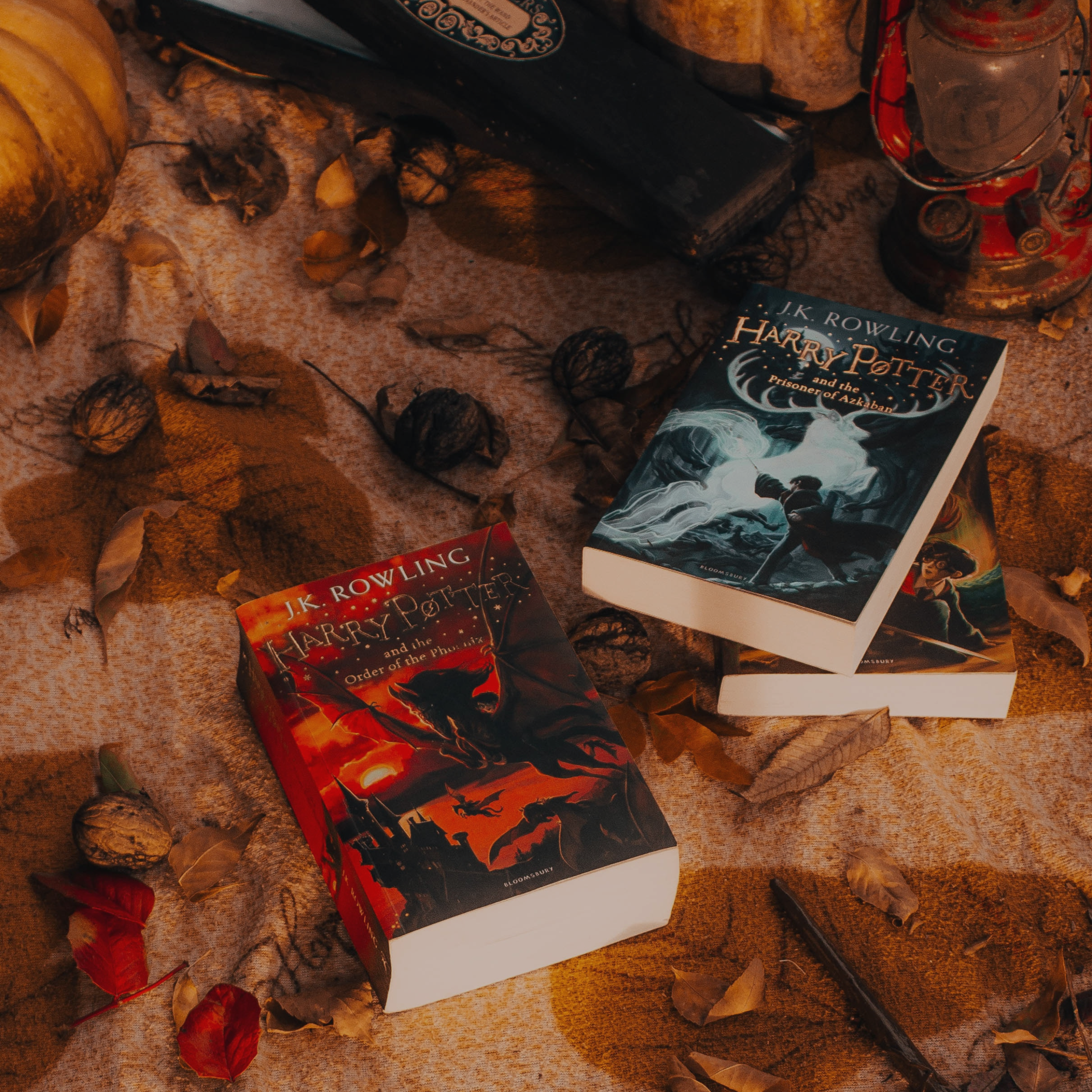 Children's Books – Bindass Books