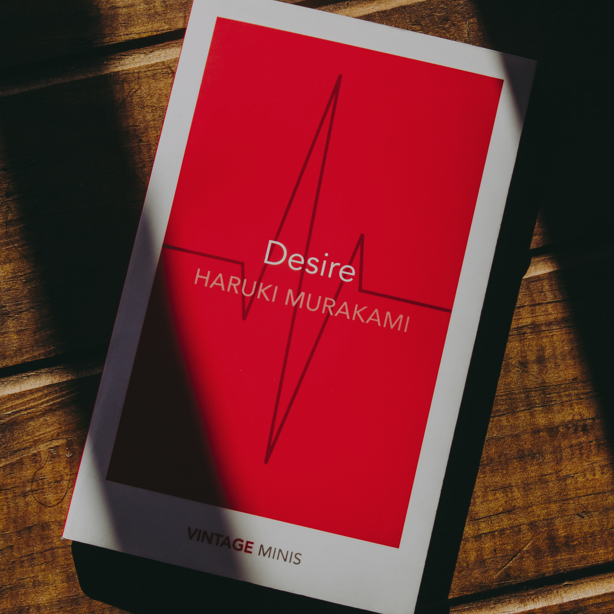 Fiction – Bindass Books